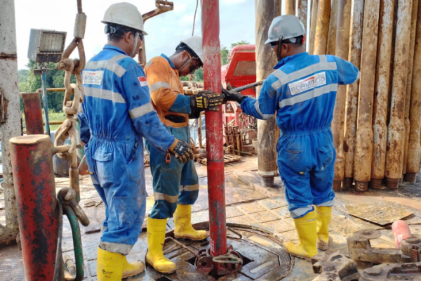 Oil & Gas - Bormindo Nusantara